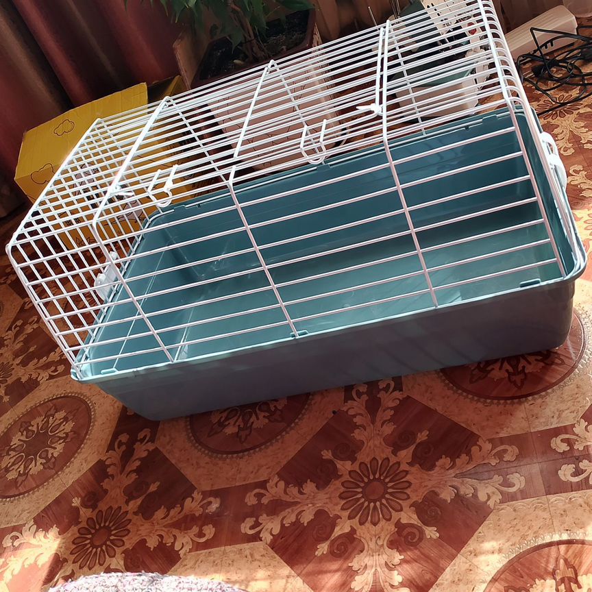 Клетка