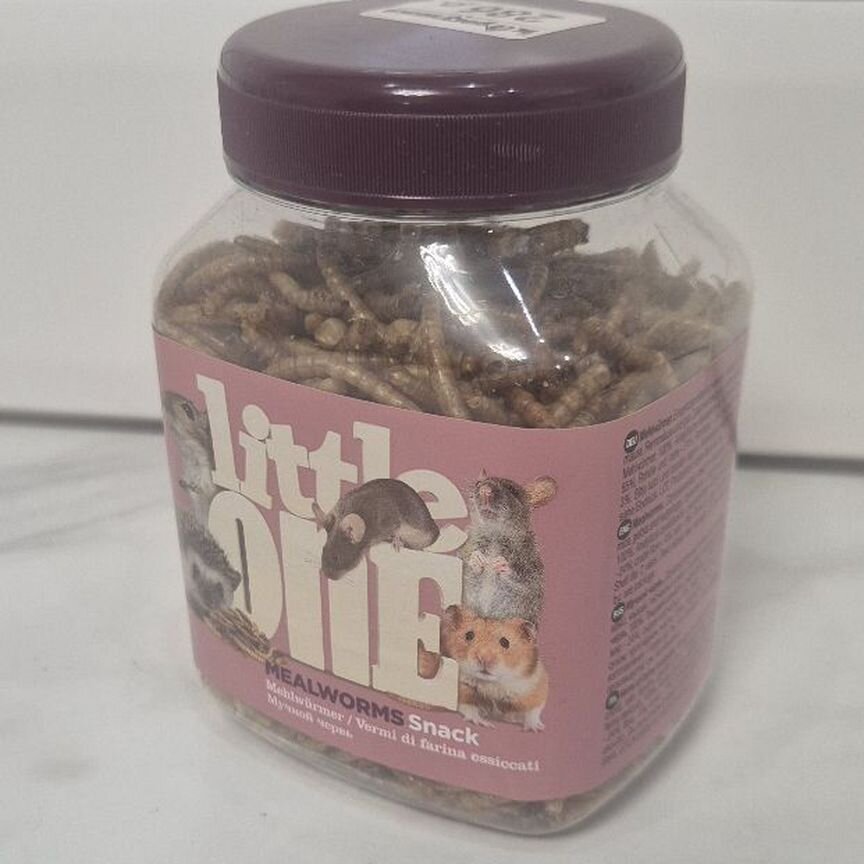 Мучные черви