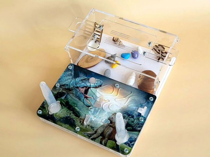 Муравьиная ферма Муравьи оптом и в розницу Корм