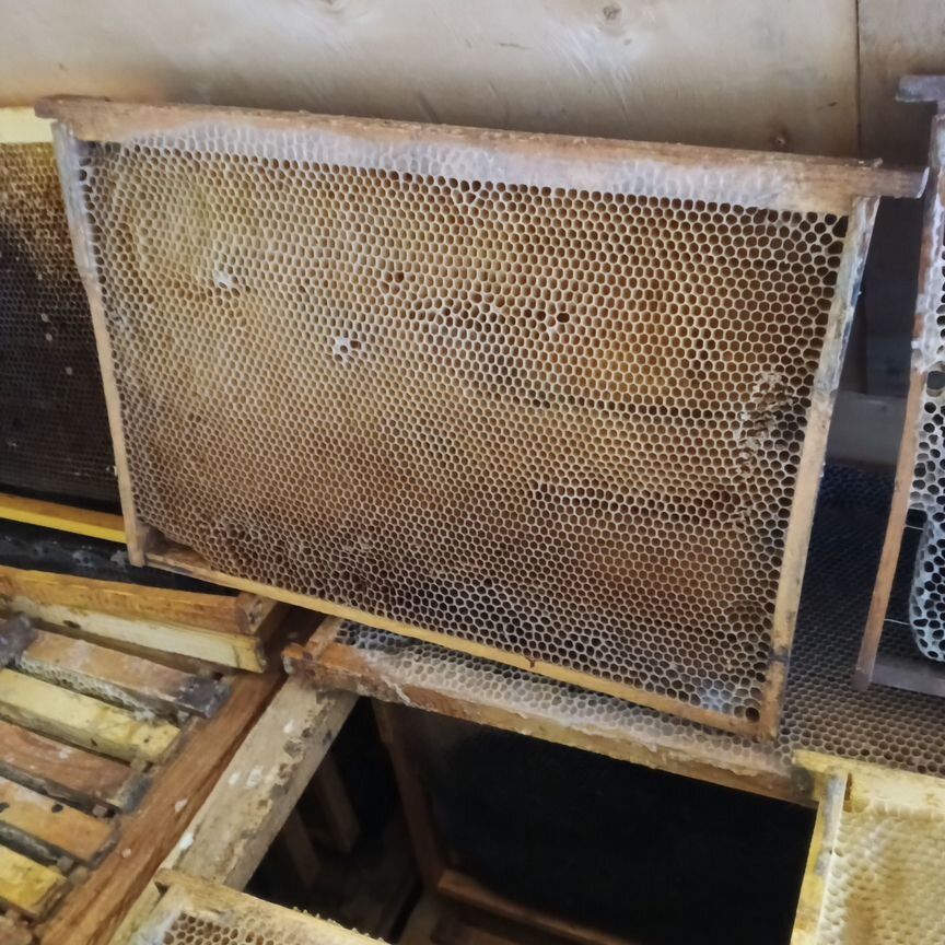 Пчелиные рамки суш рутовская и дадановская