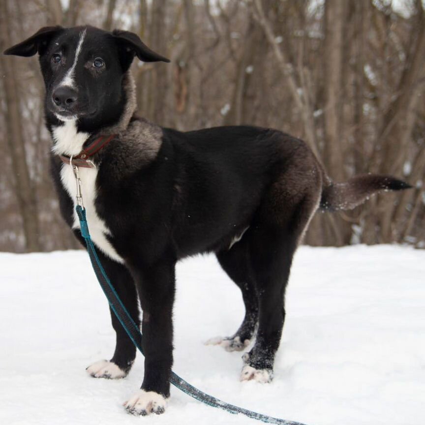 Мальчик 3 мес