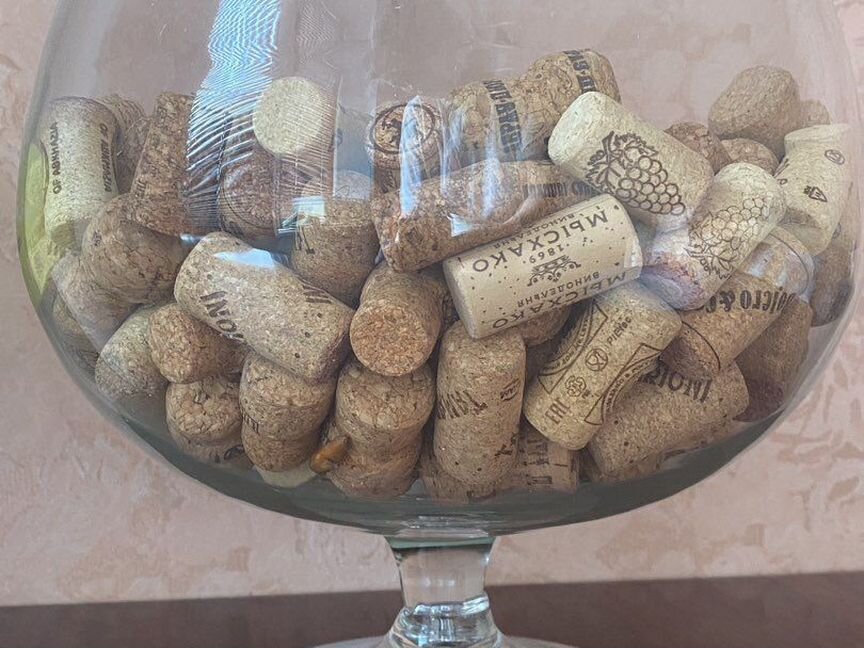 Аквариум рюмка