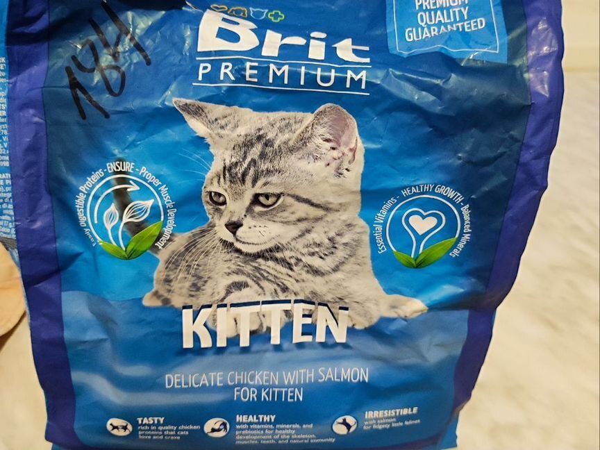 Корм для котят