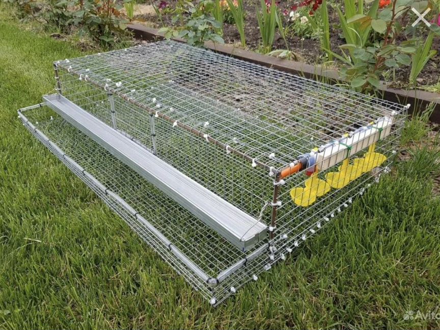 Клетка для перепелов