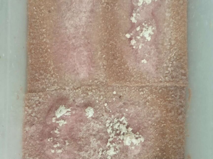 Домашний трубочник изя