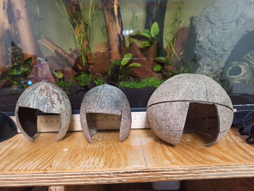 Кокос для аквариума