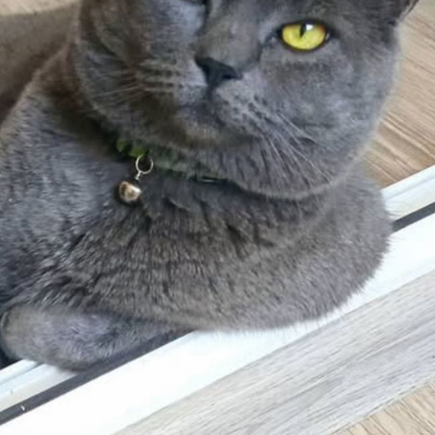 Котик Матвей