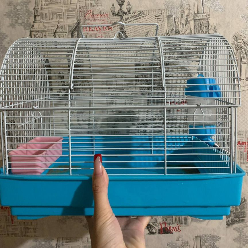 Клетка для грызунов бу Калуга