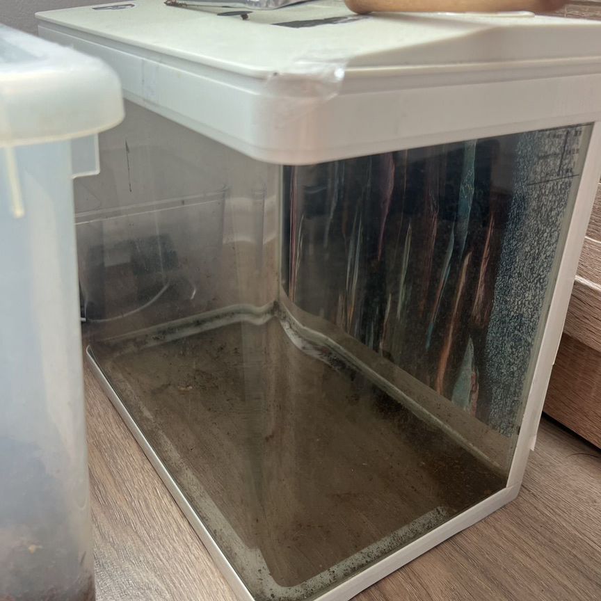 Террариум бронь для кимы