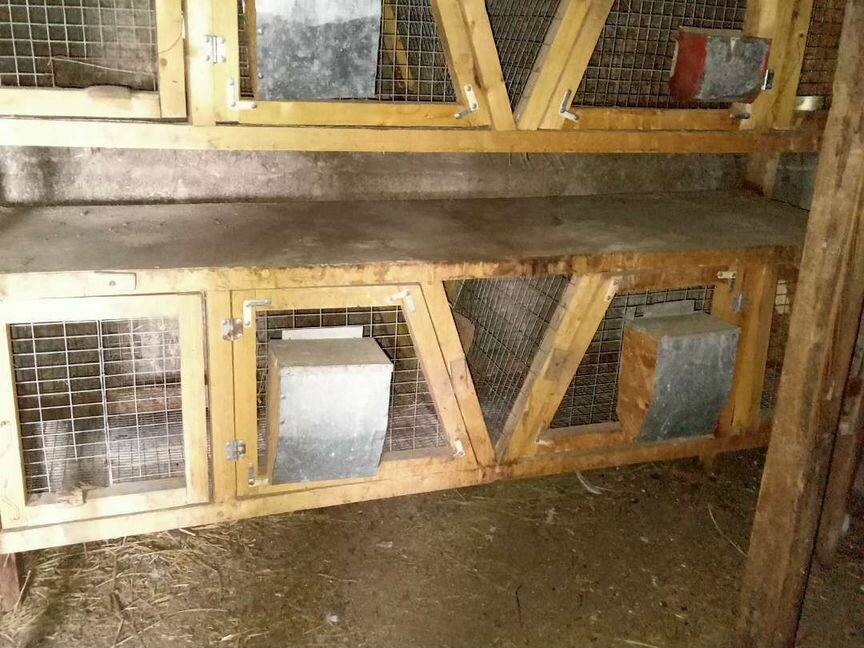 Клетки для кроликов