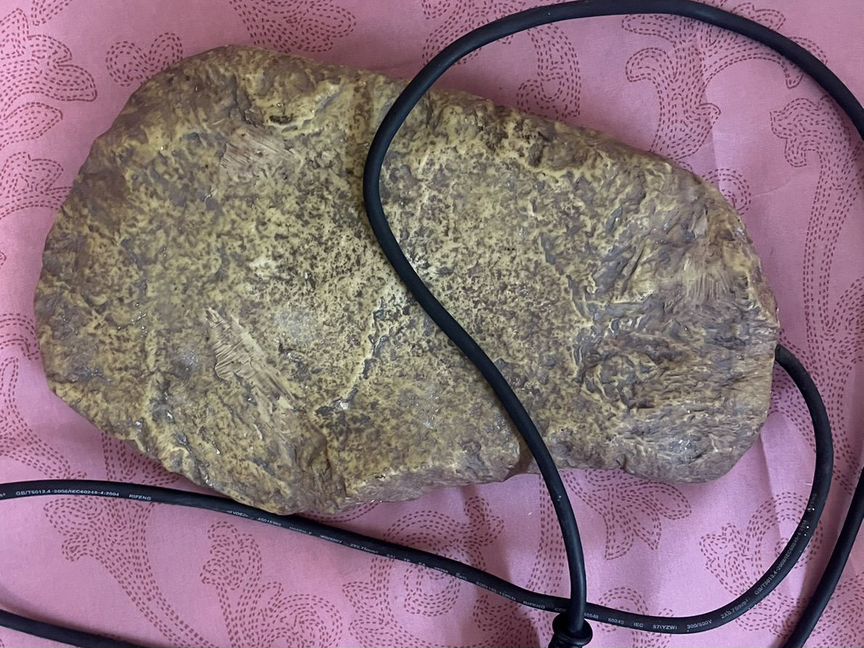 Exoterra и reptizoo