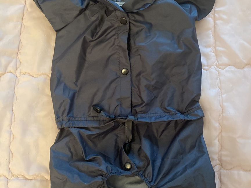 Дождевик для маленького кобеля