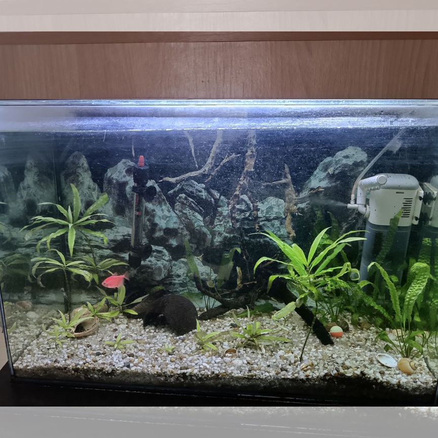 Действующий аквариум