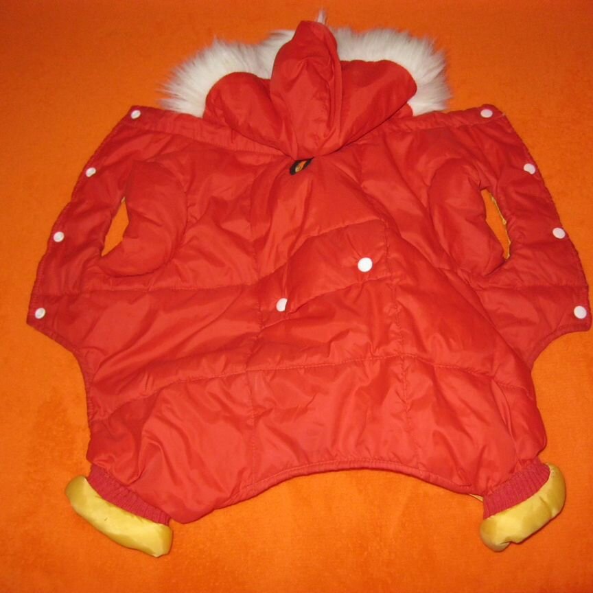 Комбез для щенка бесплатно