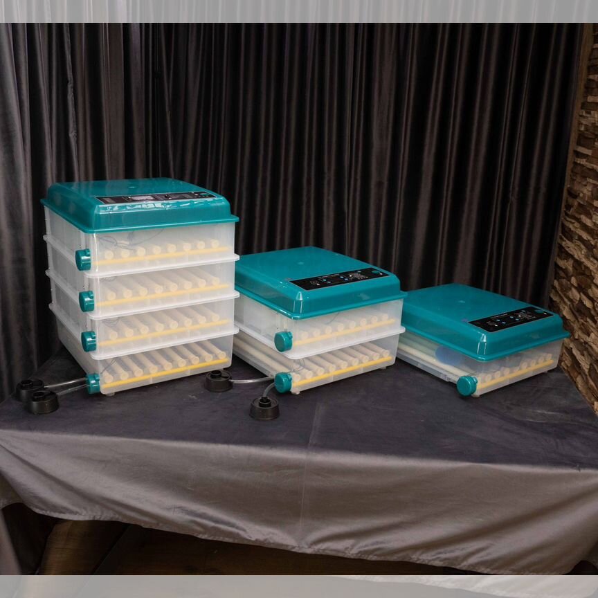 Инкубатор на любой бюджет и запрос