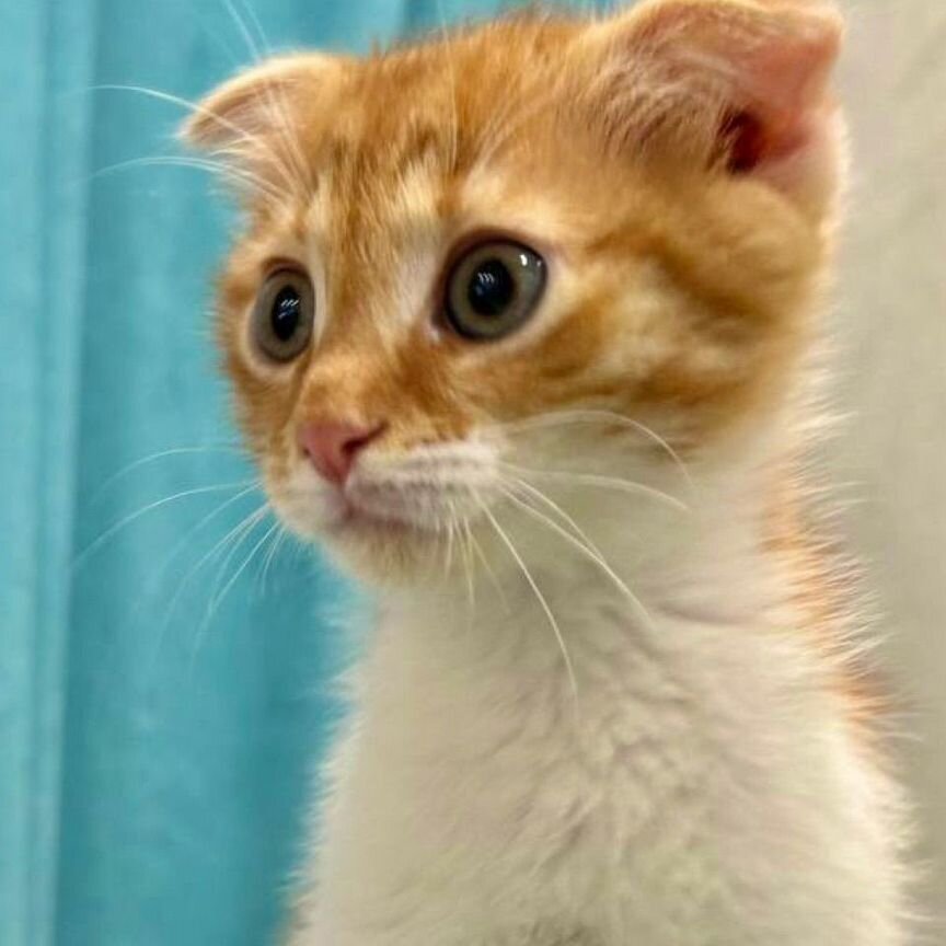 Мультик просто хохма