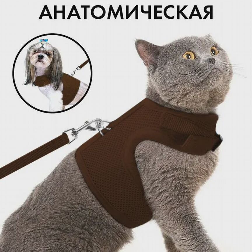 Шлейка для кошек с поводком 1.5 м для прогулок zn