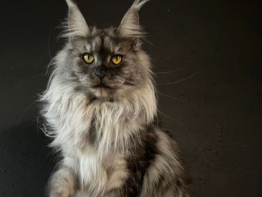 Девочка, полтора года