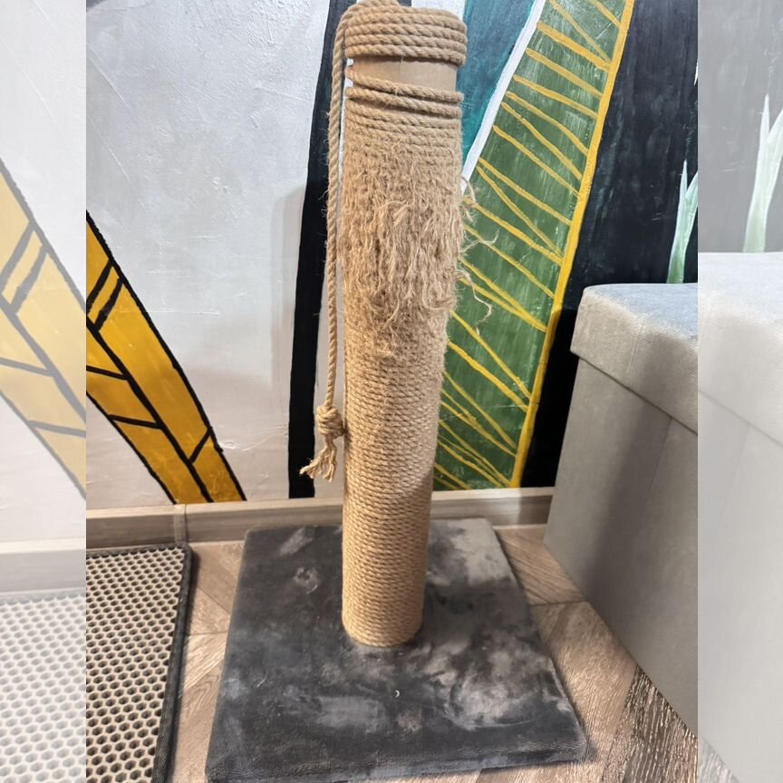 Когтеточка