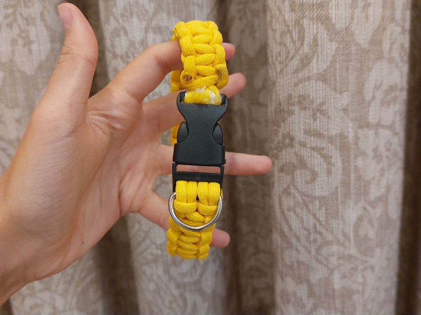 Амуниция из паракорда для питомцев