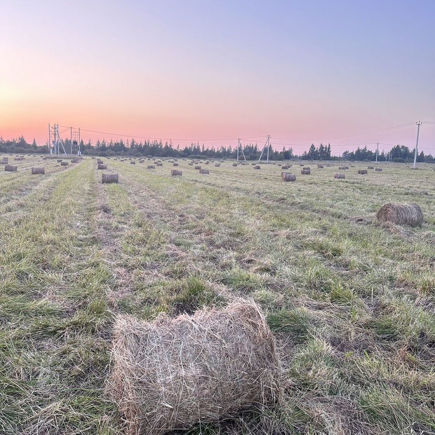 Сено в мини рулонах