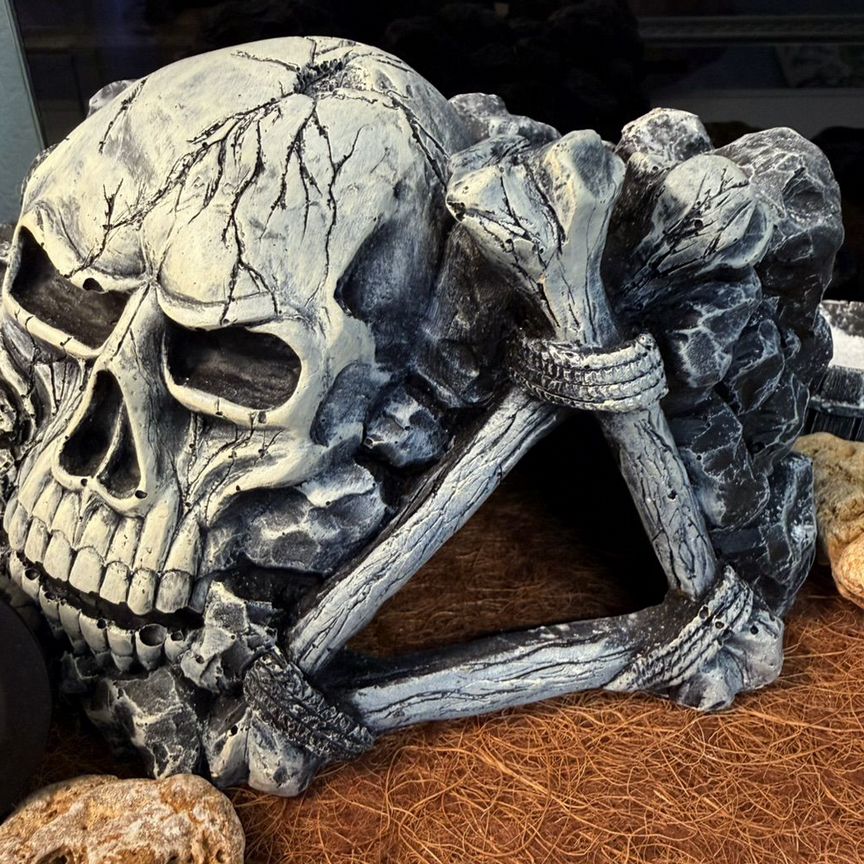 Укрытие для рептилий