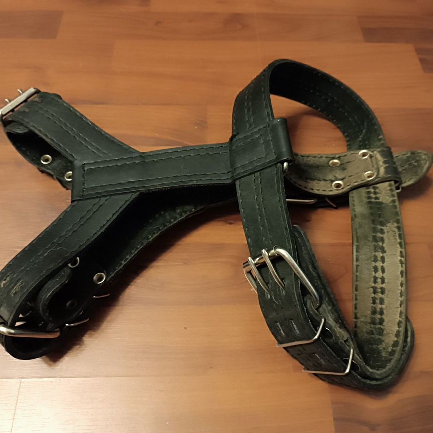 Шлейка дрессировочная