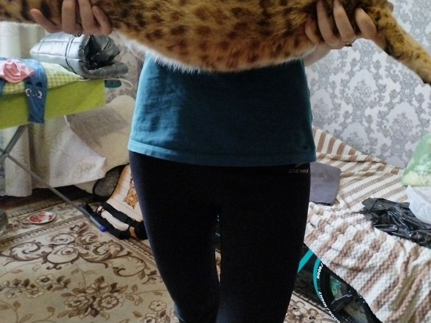 Бенгальская кошка вязка