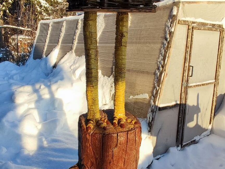 Кормушка для птиц поделка