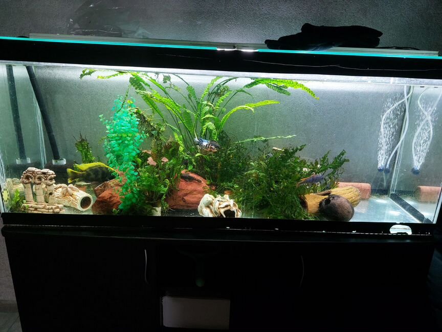 Аквариум с тумбой