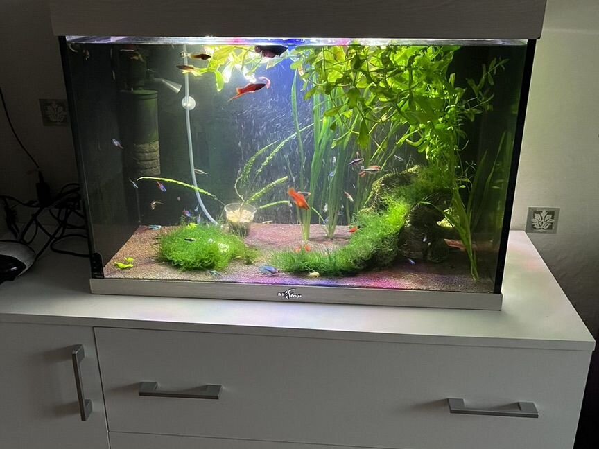 Аквариум bio design