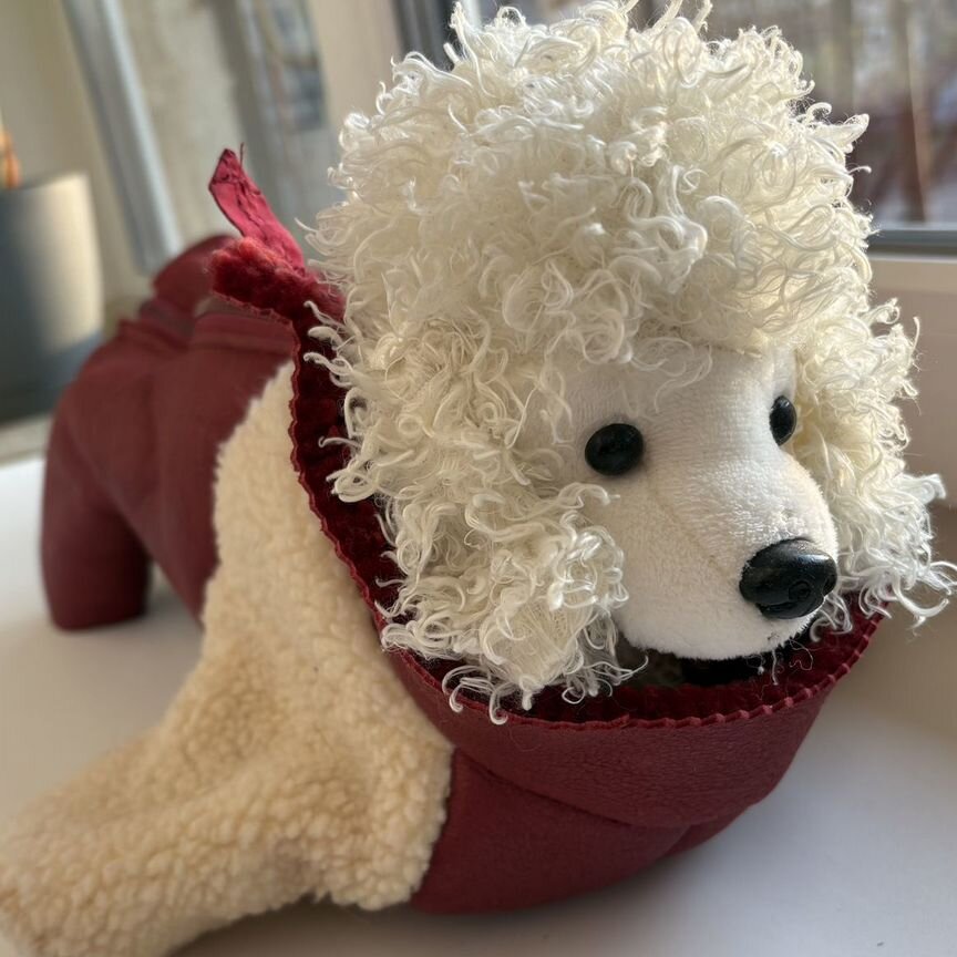 Одежда для собак