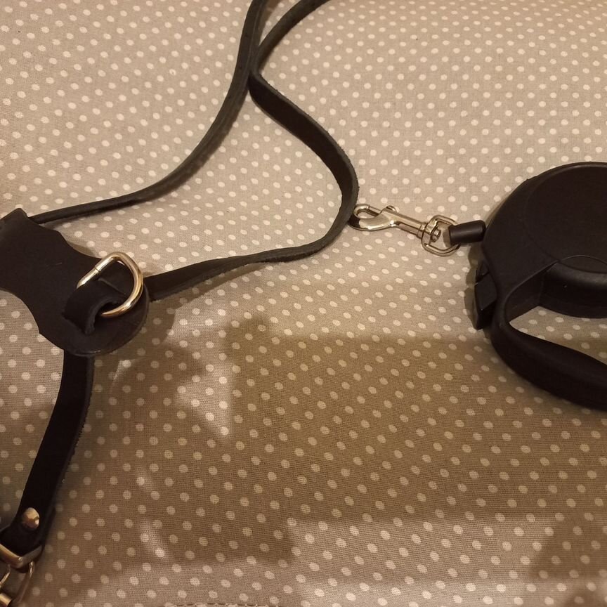 Поводок рулетка мини 3 метра и шлейка