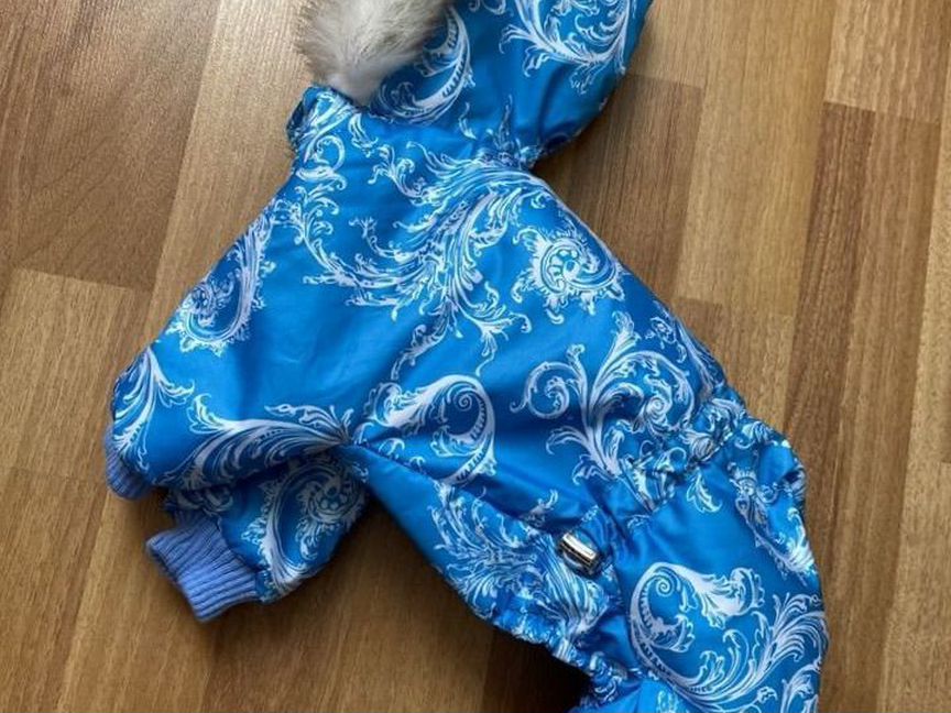 Одежда для собак