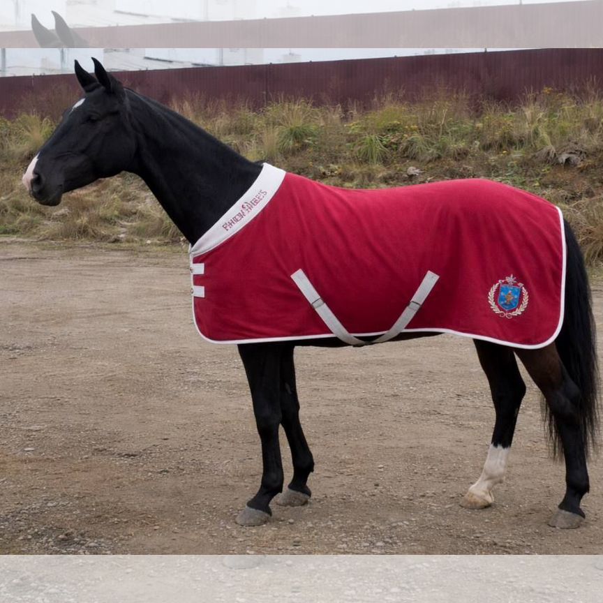 Попона для лошади бу