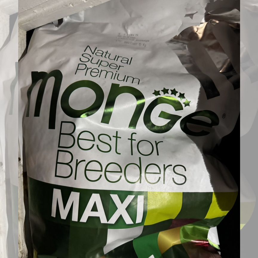 Корм monge для щенков