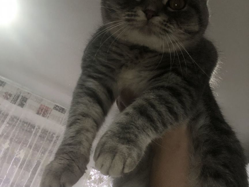 Сюзанна 6 месяцев
