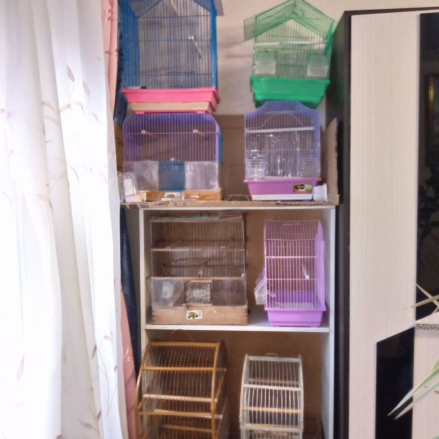 Клетка для канареек и попугаев