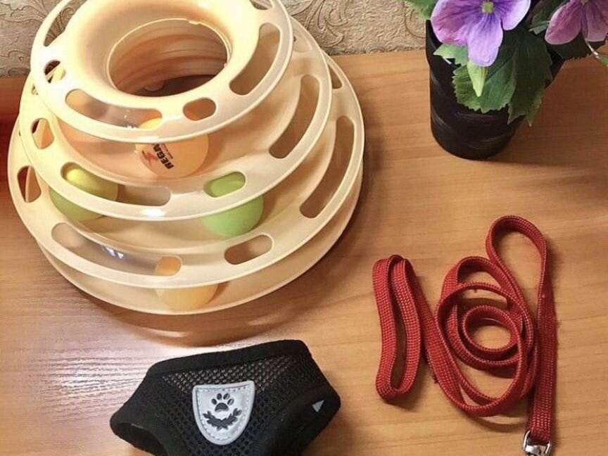 Игрушки, шлейка S, поводок