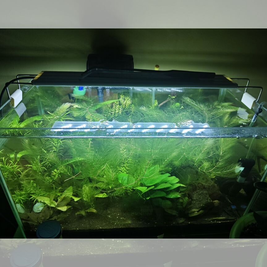 Аквариум 35-40 литров