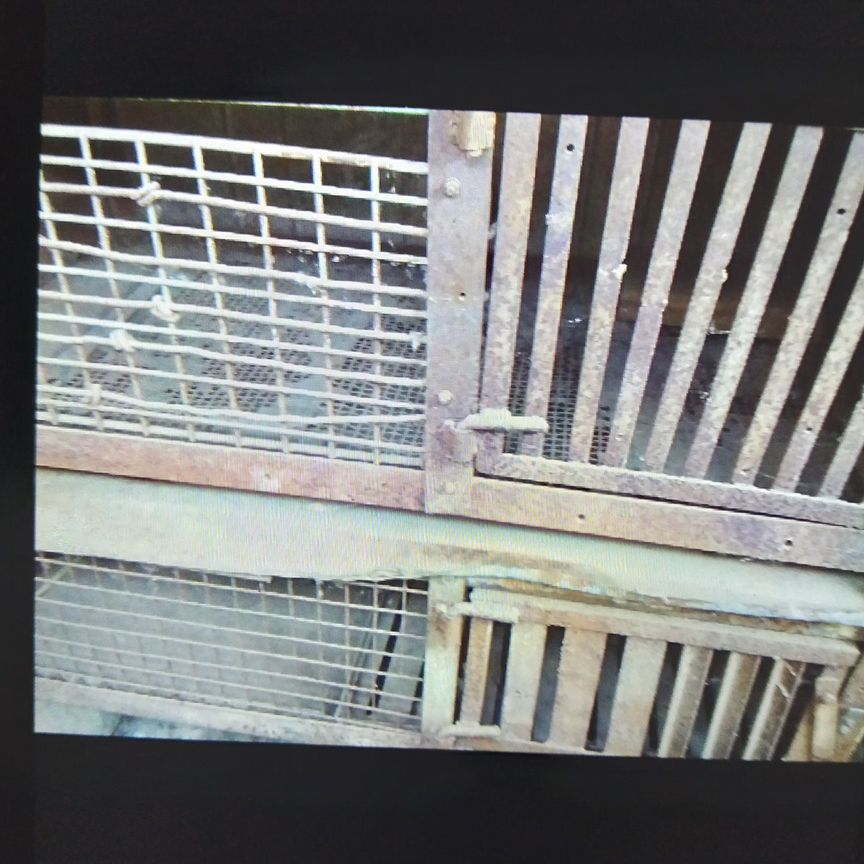 Клетки для нутрий