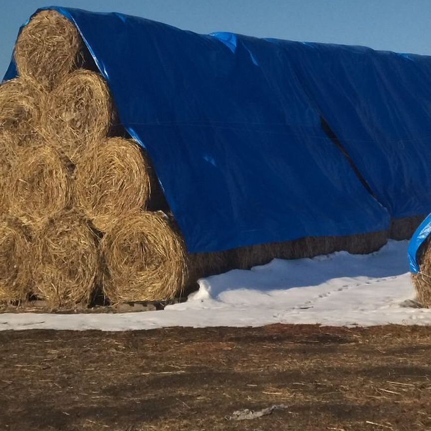 Продам сено в рулонах