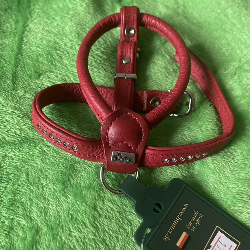 Ошейник для собак