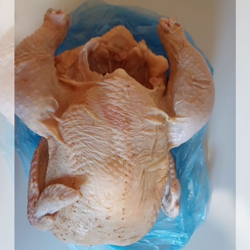 Продам бройлеров