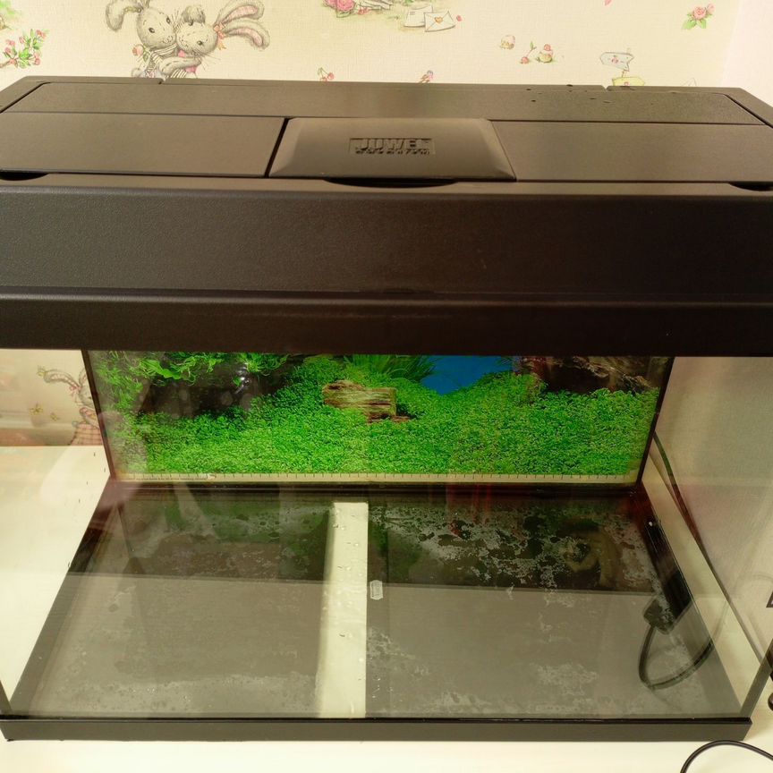 Аквариум juwel