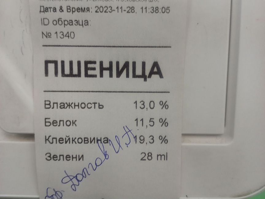 Зерно пшеница