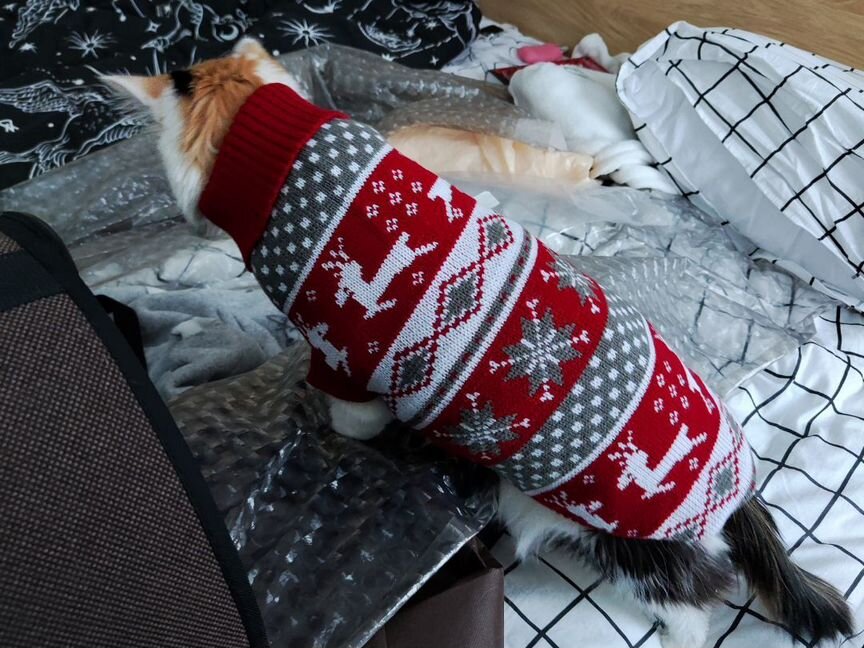Свитер для кошки