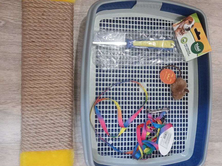 Аксессуары для кошки