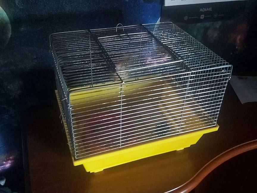 Клетка для грызунов бу