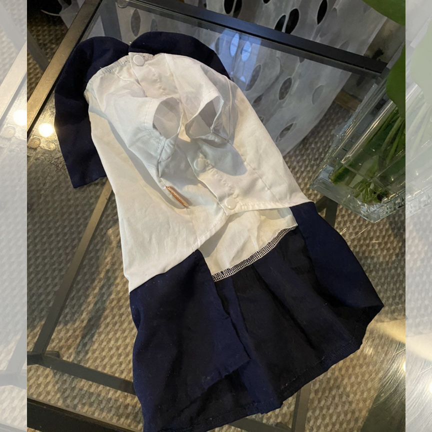 Костюм для кошки